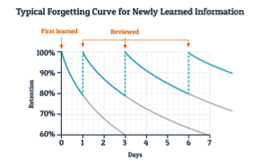 Memory curve - Connections in Mind